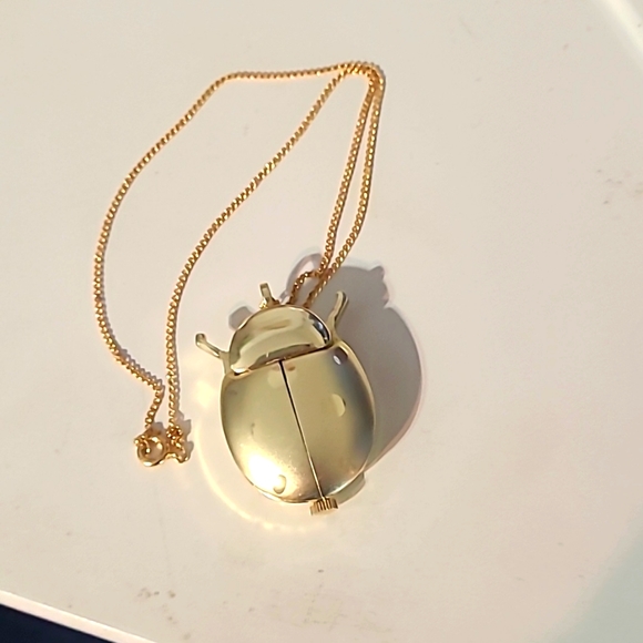 Jewelry | Ladybug Watch Pendant Necklace | Poshmark